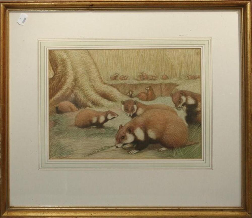Louis Augustus Sargent 9 1881-1965) A richness of pine martens around ...