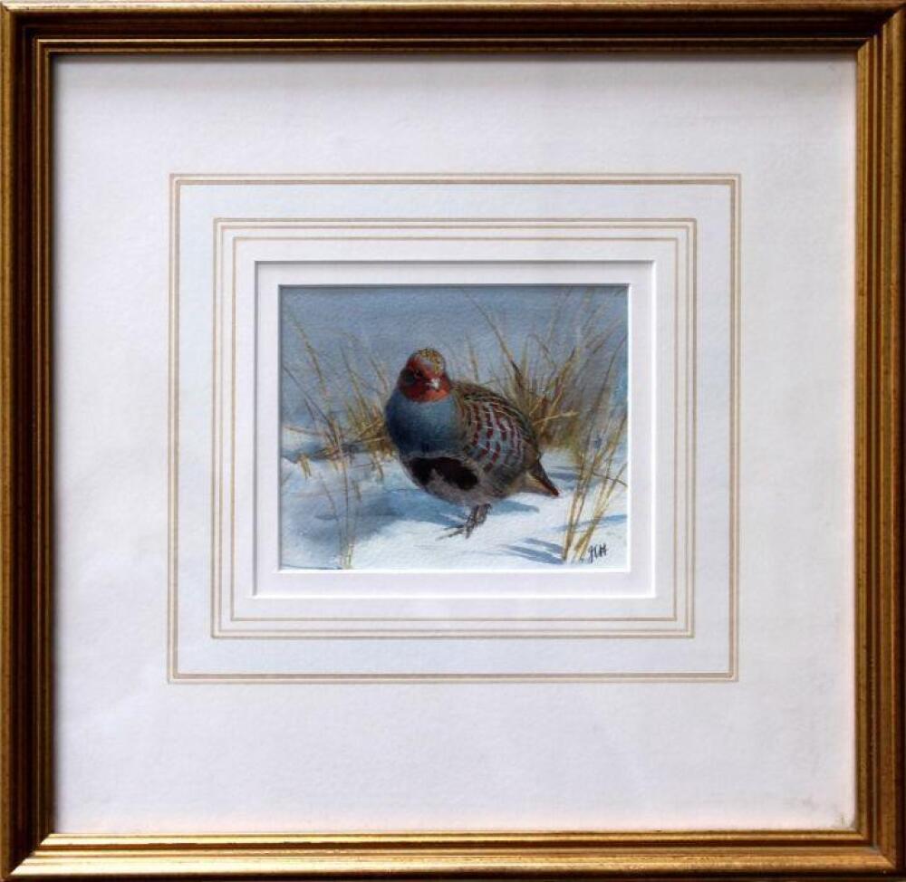 John Cyril Harrison (1898-1985) Grey Partridge in Winter, watercolour ...