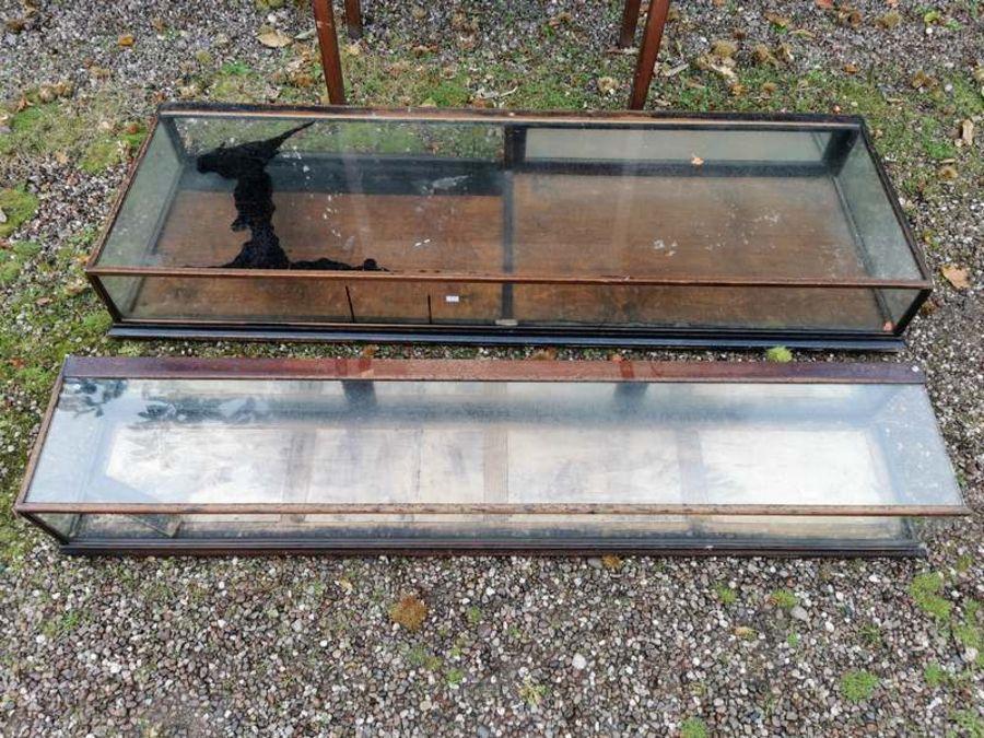 2 antique shop counter display cases, one by Radin & Co showcase makers ...