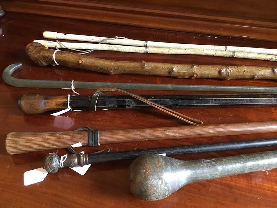 A collection of assorted walking sticks, comprising an elm octagonal ...