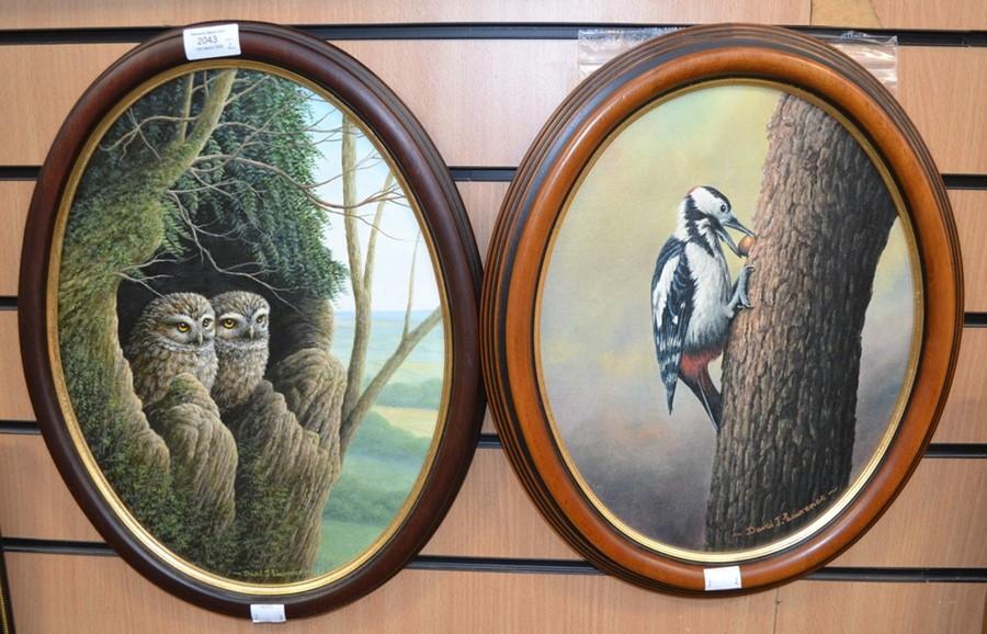 David J Lawrence, two oils on canvas paintings, entitled 'Little Owls' and 'Greater Spotted ...