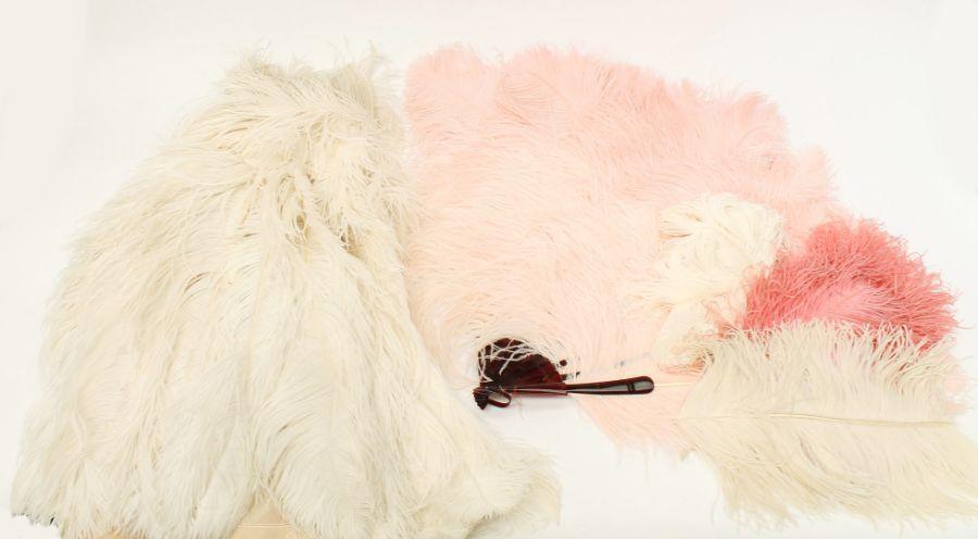 A collection of feather boas to include: original 1920s feather boas ...