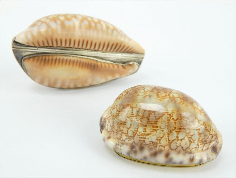Georgian silver mounted cowrie shell snuff box and a smaller brass ...