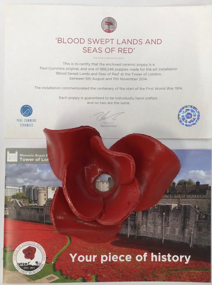 Limited edition 2014 Remembrance Tower of London ’Blood Swept Lands ...