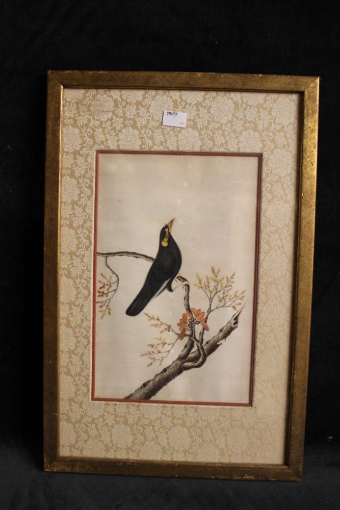 A 19th century Qing Dynasty Watercolour and Gouache painting on pith ...