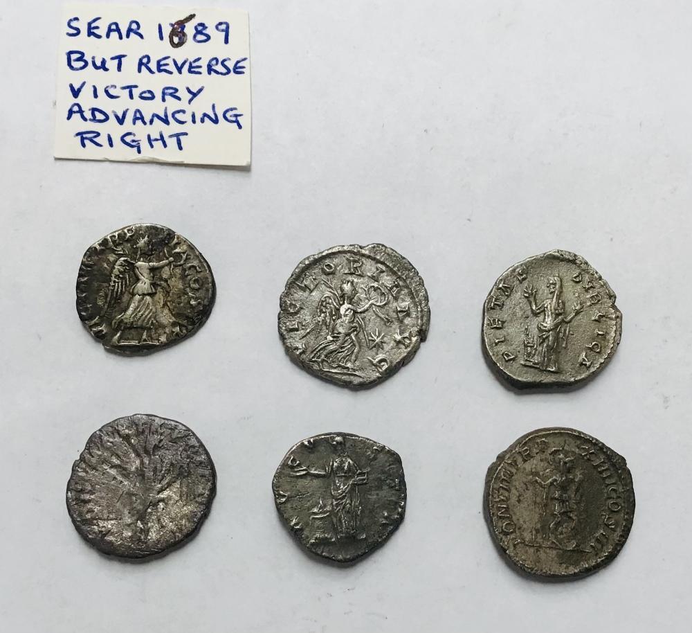 Collection of Roman Silver Coins of Septimus Severus (Victory adv right ...