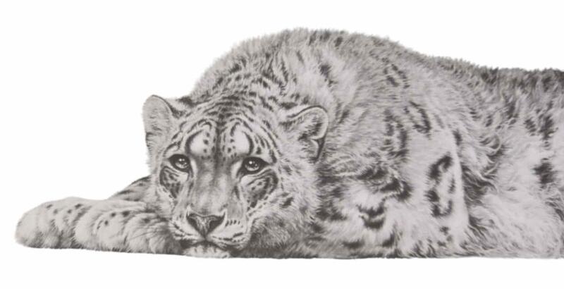 Gary Hodges - Snow Leopard - 1994. A rare signed limited edition 1895/ ...