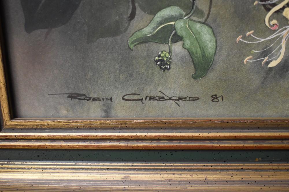 Robin Gibbard (1930 - 2014) wrens in a honeysuckle bush; watercolour on ...