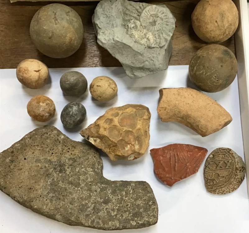 Collection of Fossils and Artifacts including part of a Roman quern ...