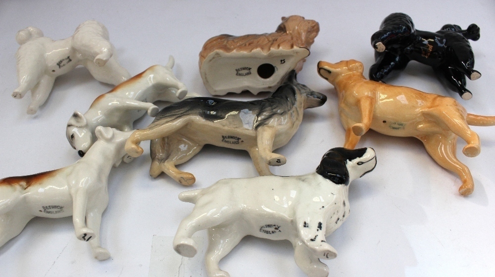 A collection of mostly John Beswick dogs with Beswick pigs and ...